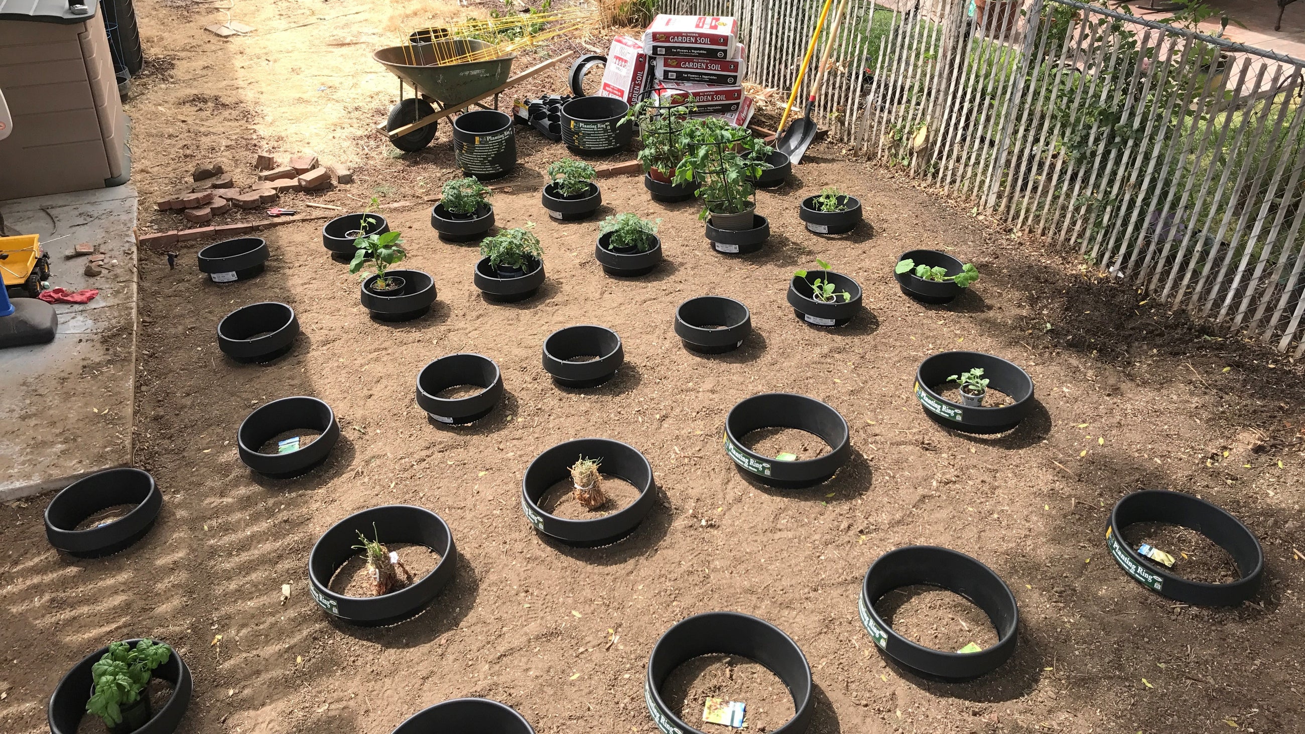 WaterRounds Planting Rings & VegSTABLE | Gardening Devices